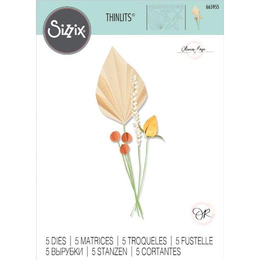Sizzix Thinlits Die Set 5pcs - Ornamental Stems by Olivia Rose 665955 | Buddly Crafts