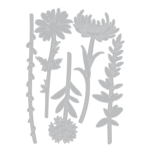 Sizzix Thinlits Die Set by Tim Holtz 5pcs - Wildflower Stems #1 664163 | Buddly Crafts