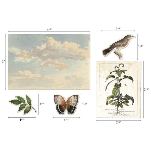 Tim Holtz Idea-ology Layers Die-Cuts 45pcs - Organic | Buddly Crafts