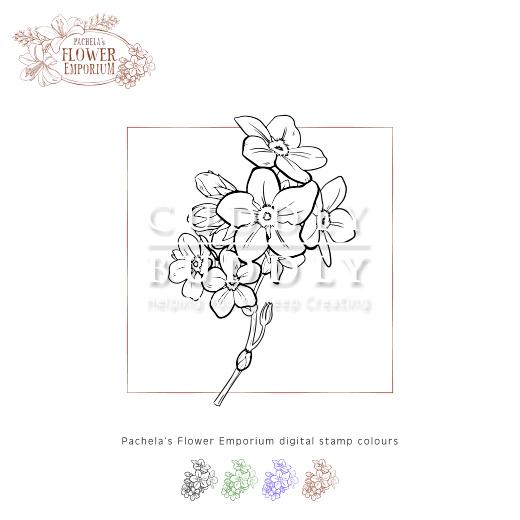Pachela's Flower Emporium Digital Stamps - Forget-Me-Not | Buddly Crafts